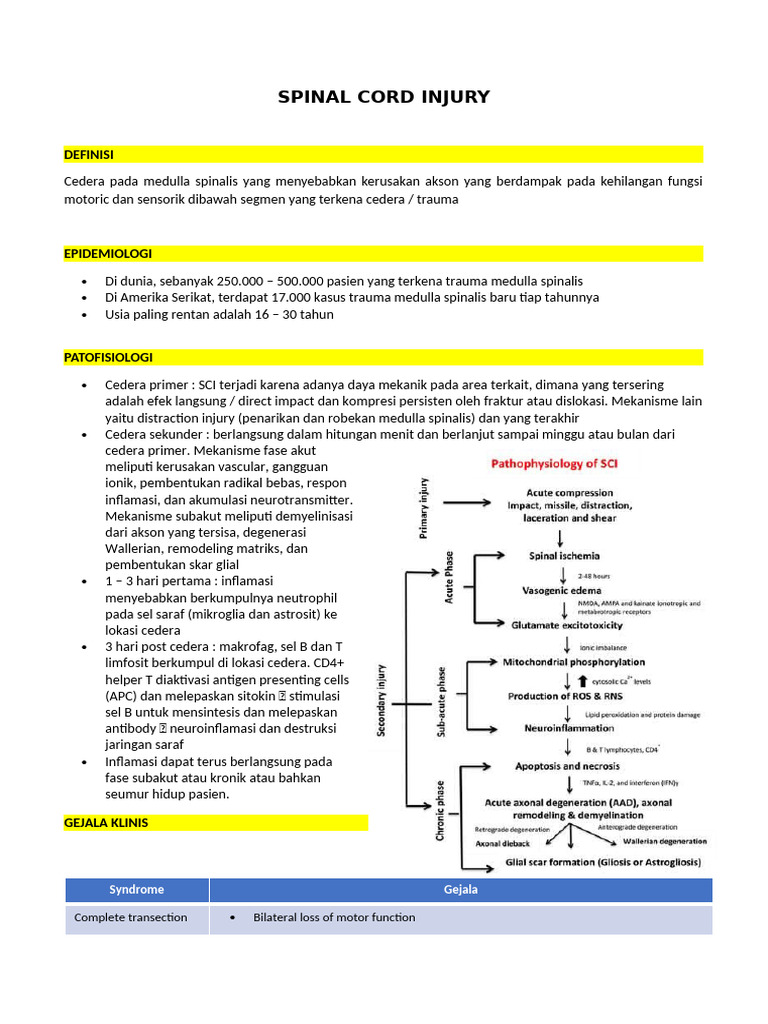 Spinal Cord Injury | PDF