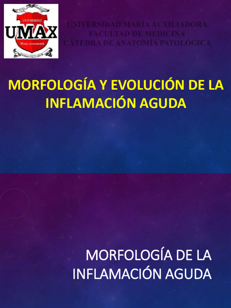 Morfología y Evolución de la Inflamación Aguda | PDF
