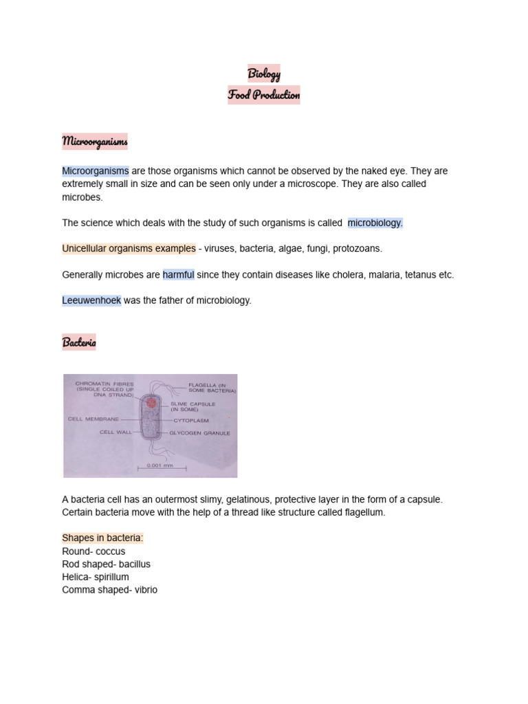 Food Production - Bio Notes | PDF | Crops | Microorganism