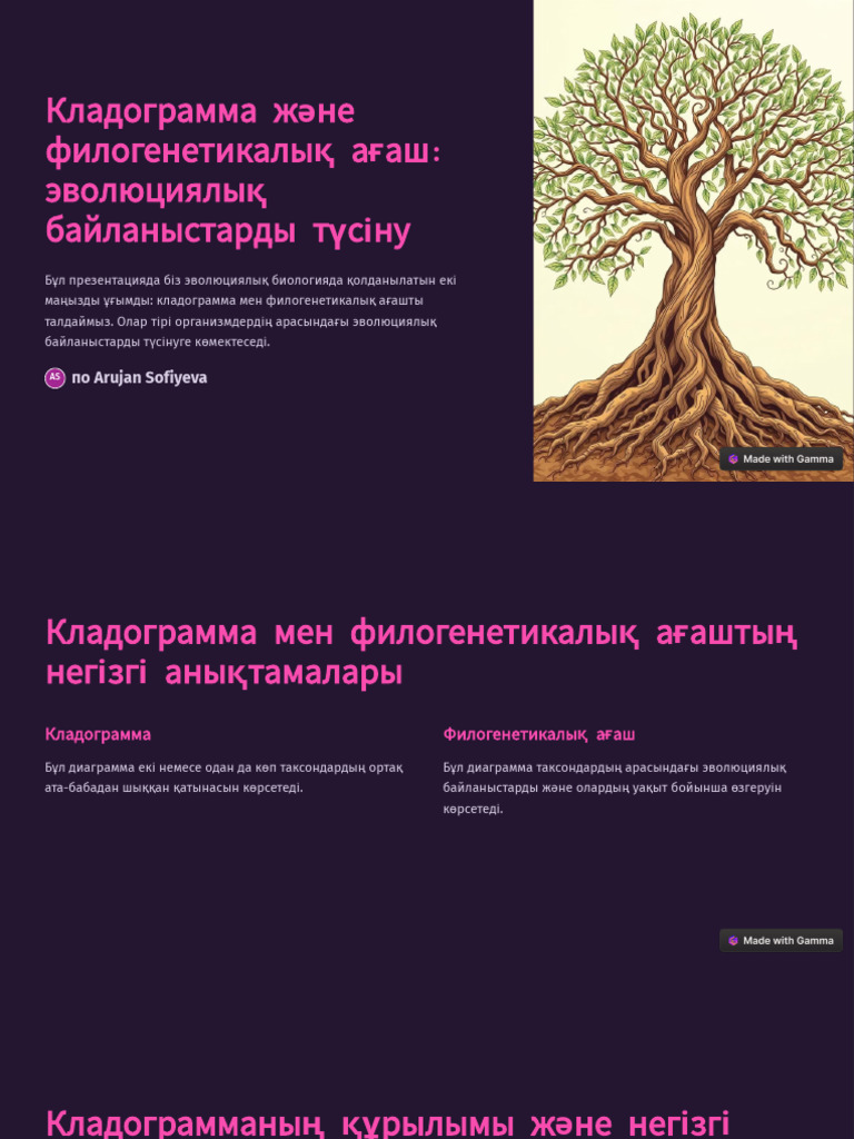 Kladogramma Zhaene Filogenetikalykh Aghash Evolyuciyalykh Bajlanystardy ...
