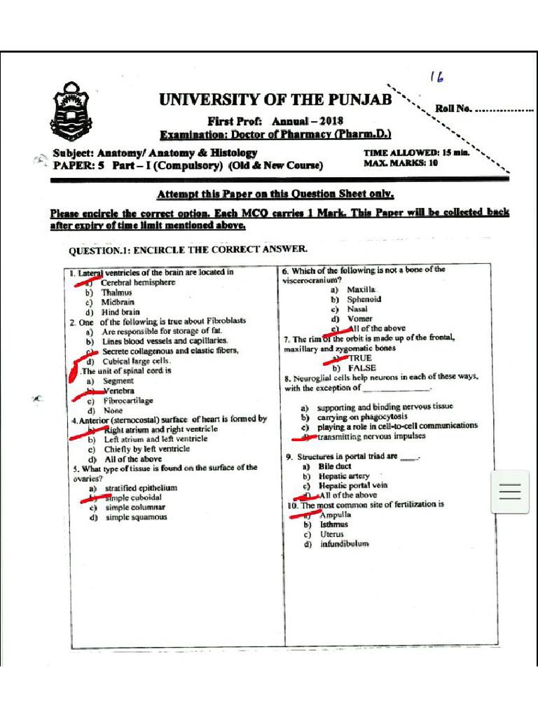Anatomy - Past Papers - Mcqs | PDF