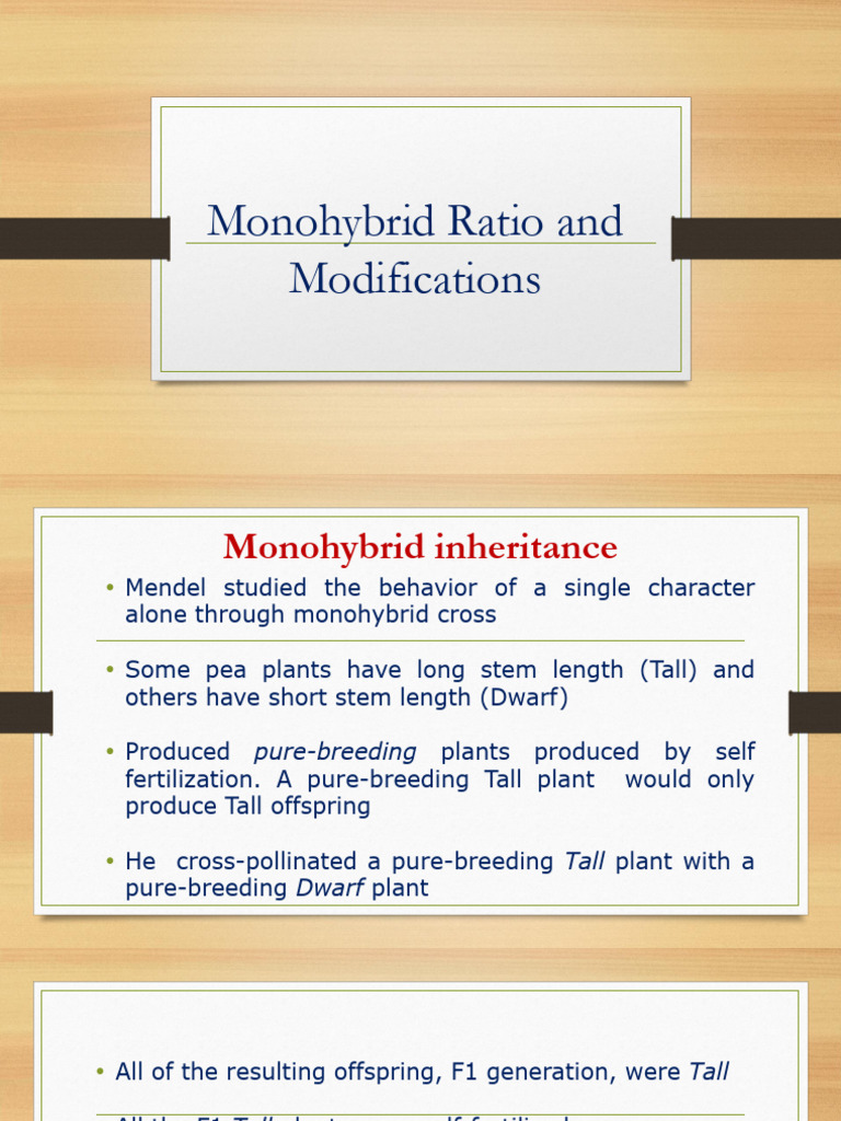 2. monohybrid cross and modifications | PDF | Dominance (Genetics ...