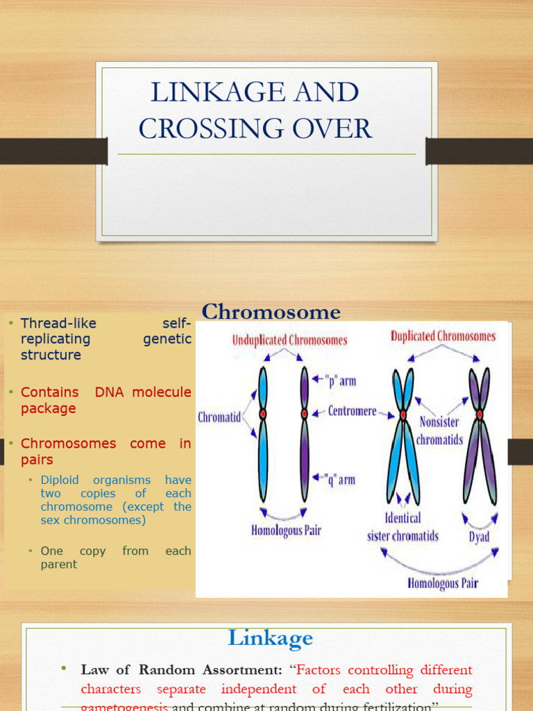 Linkage and Crossing Over FN | PDF | Genetic Linkage | Gene