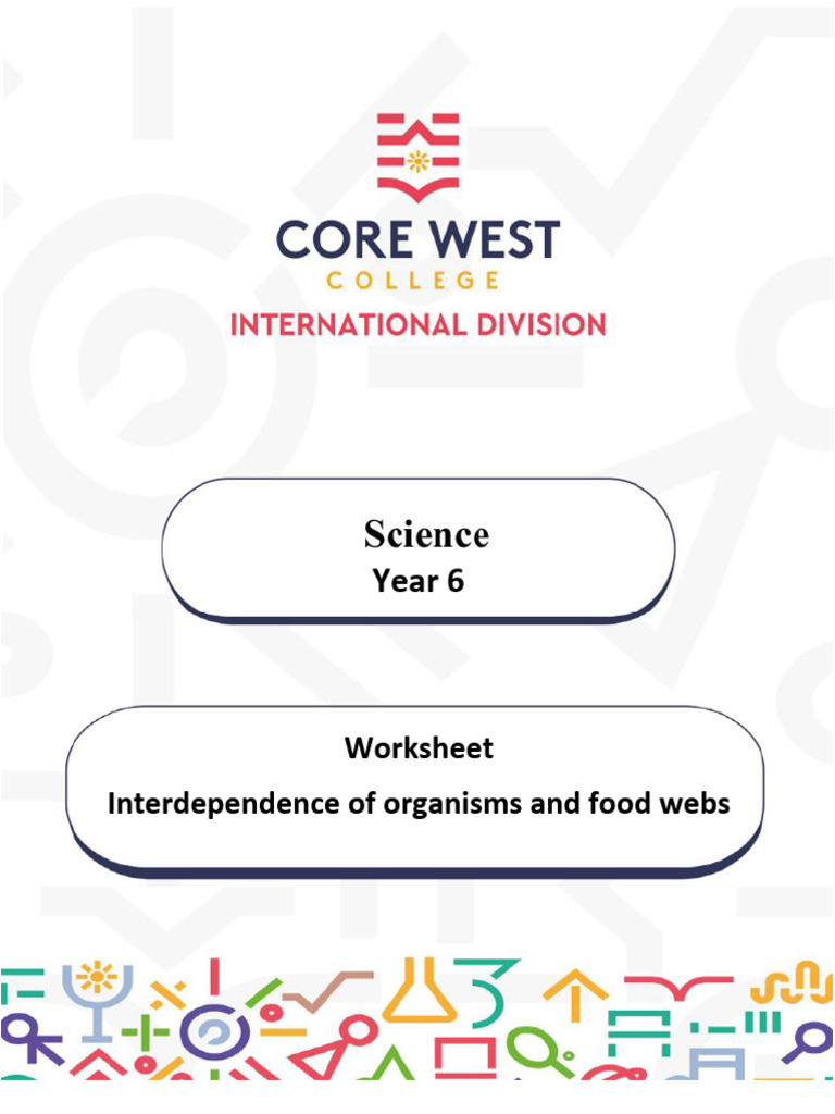 Energy transfer worksheet | PDF