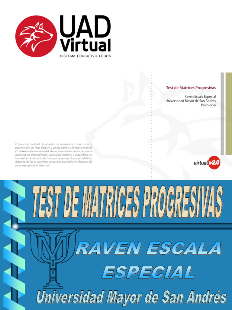 Test Raven Matrices Progresivas | PDF