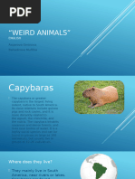 Capybara Life Cycle Overview | PDF | Biology | Zoology