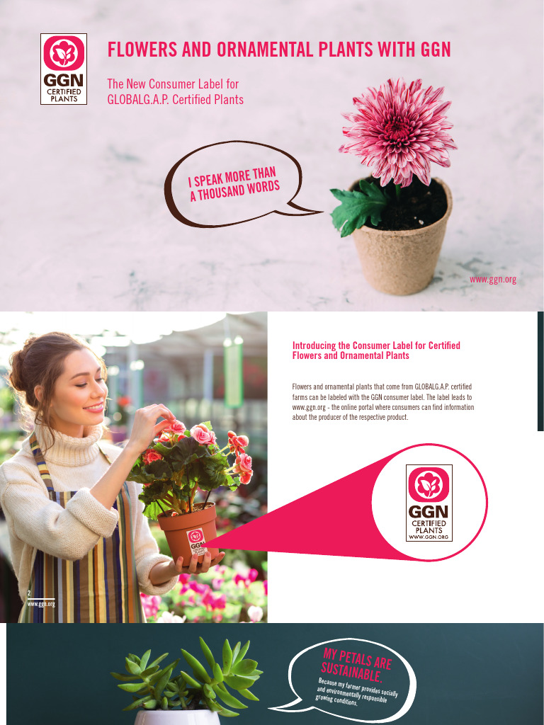 GGN Floriculture en | PDF | Agriculture | Sustainable Agriculture