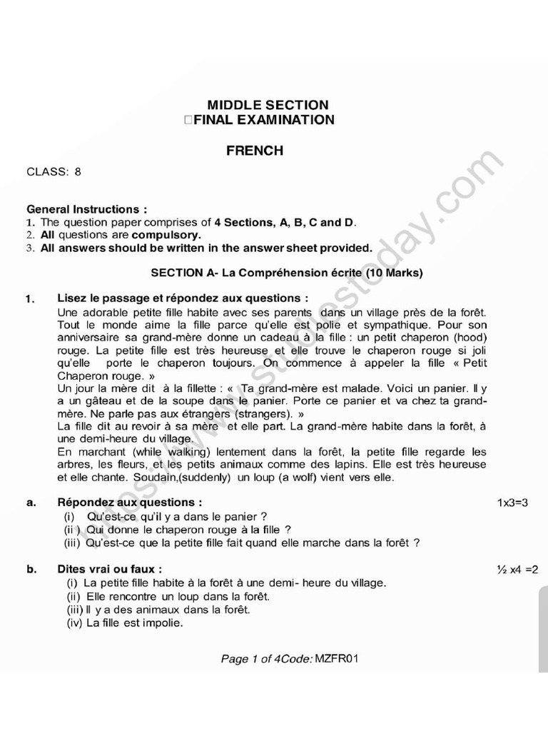 Class 8 French - Final | PDF