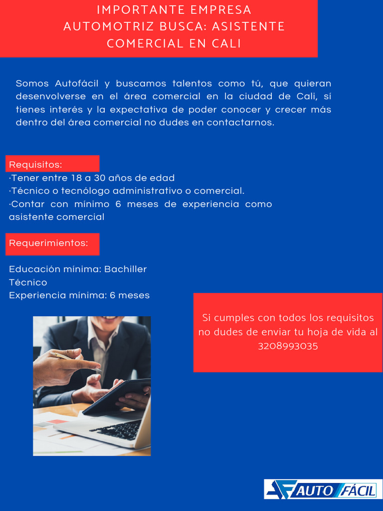 Asistente Comercial | PDF