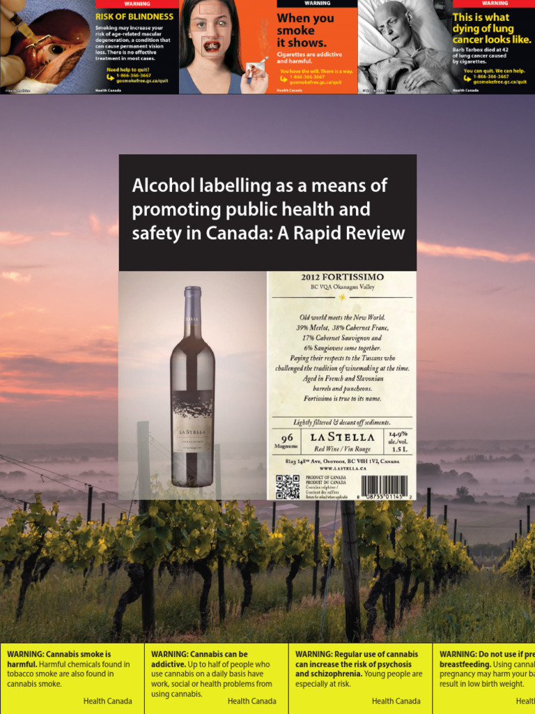 Report Alcohol Labelling Rapid Review | PDF | Alcoholic Beverages ...