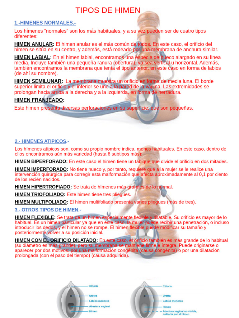 Tipos de himen y sus características | PDF