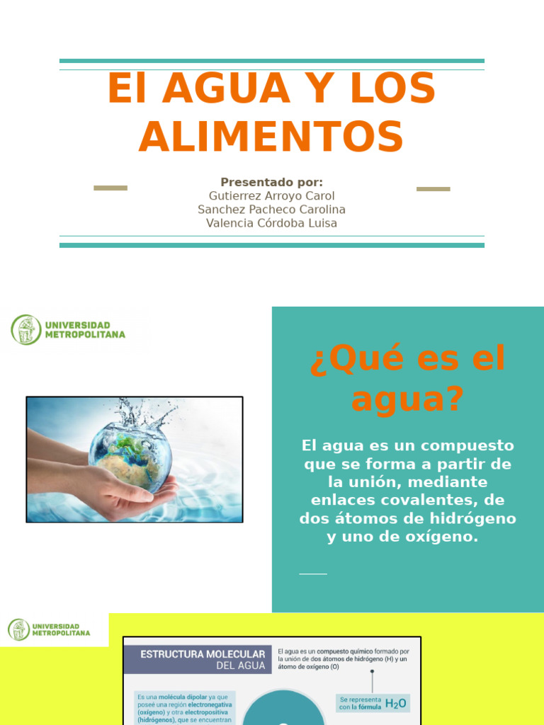 Propiedades y Tipos de Agua en Alimentos | PDF | Agua | Sal (química)