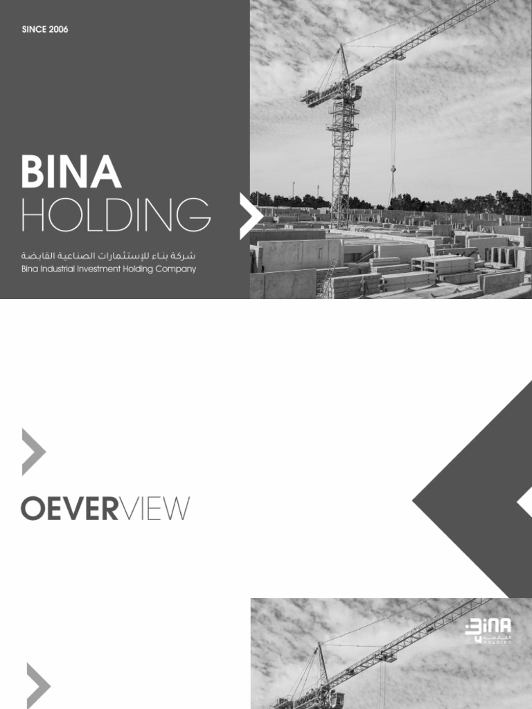 Bina Holding Group | PDF