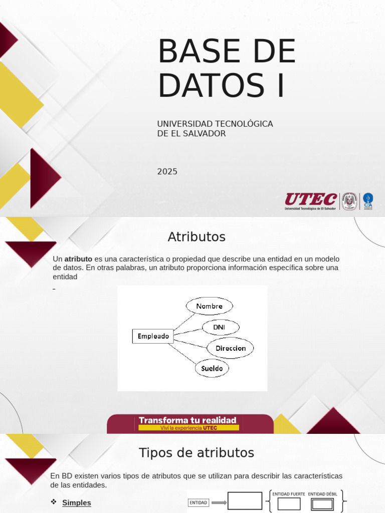 Tipos de Atributos en Bases de Datos | PDF | Datos | Bases de datos
