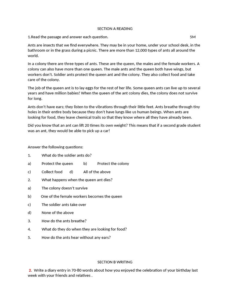 CBSE CLASS 6 ENGLISH QUESTION PAPER | PDF | Ant | Black Beauty