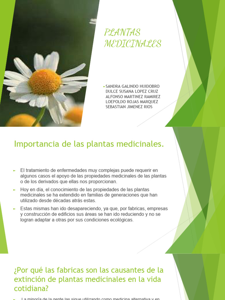 Plantas Medicinales. Biología | PDF | Plantas medicinales | Plantas