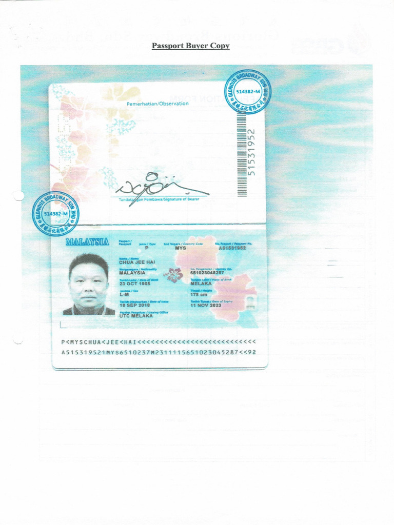 Passport | PDF