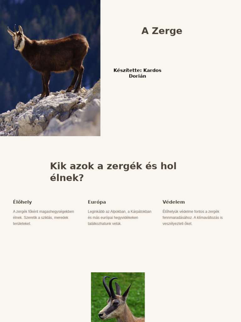 A Zerge | PDF