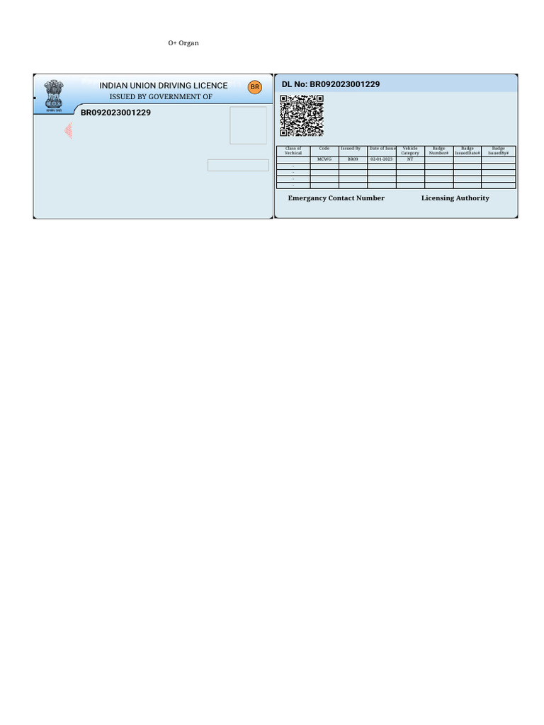 husain print DL (2) | PDF
