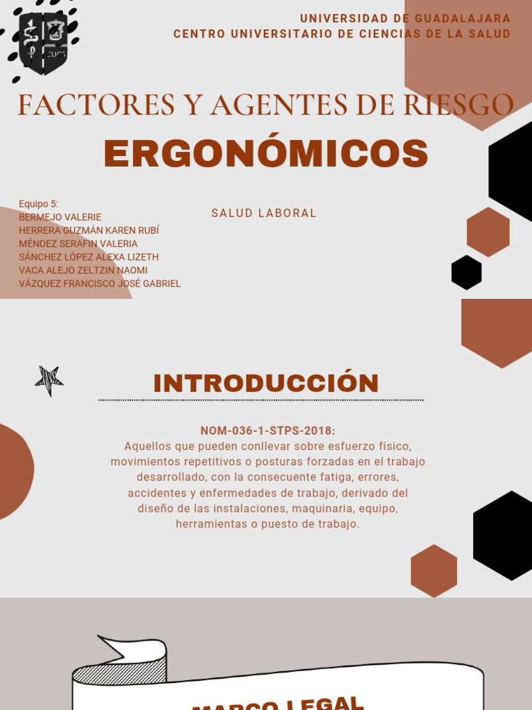 Factores de Riesgo y Agentes de Riesgo Ergonomicos PDF | PDF ...