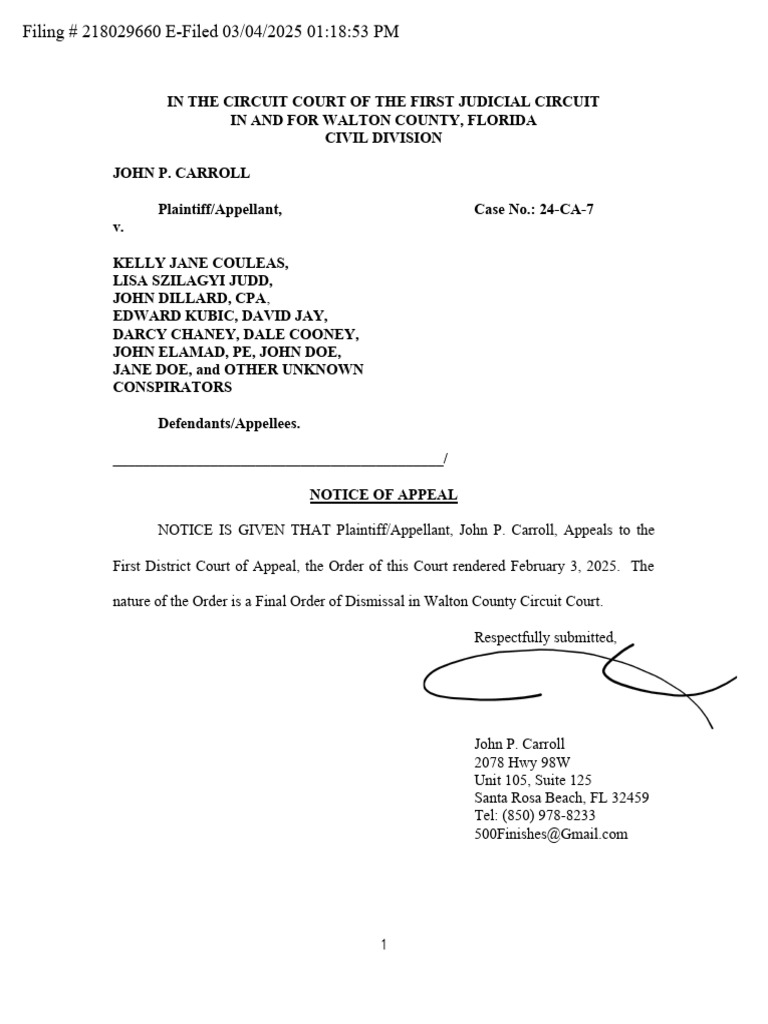 Florida Notice of Appeal Filing | PDF | Justice | Crime & Violence