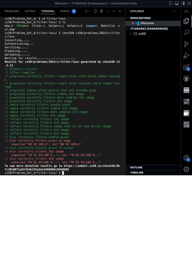 Welcome - 171284682 (Codespaces) - Visual Studio Code | PDF | Computer Graphics | Vision