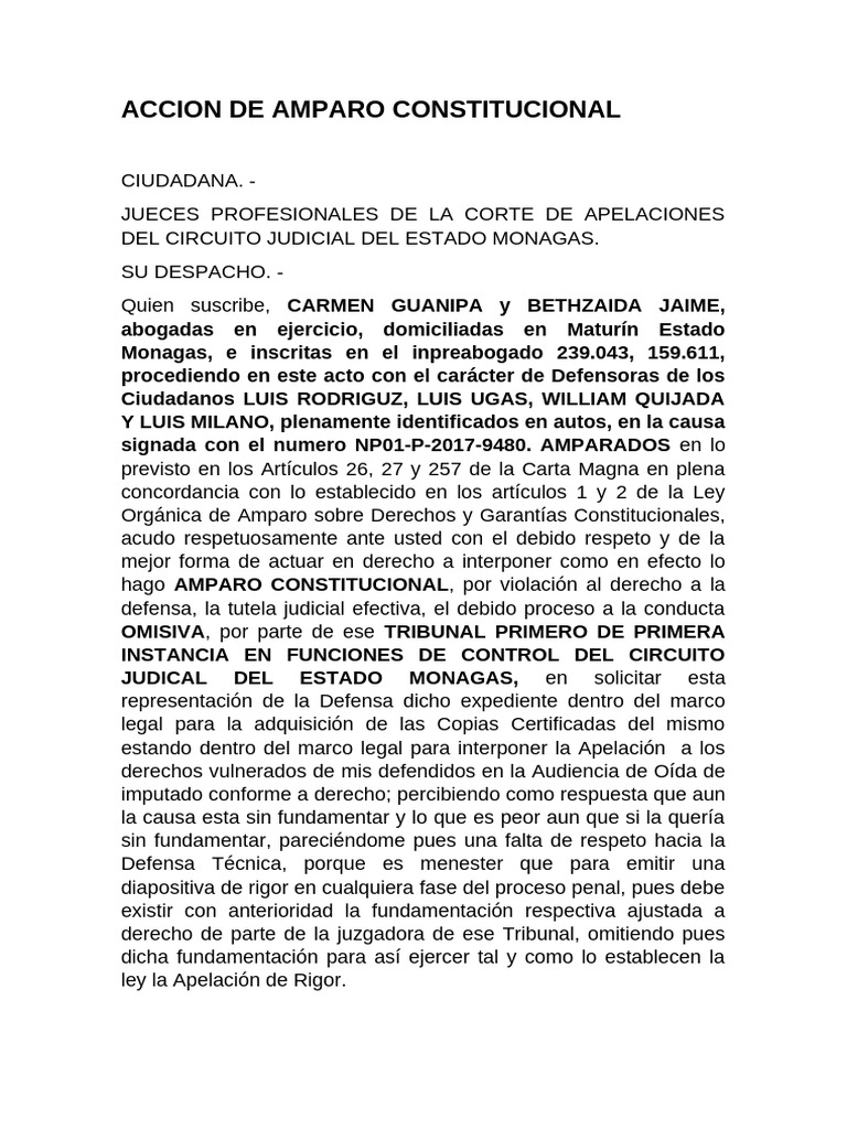 ACCION DE AMPARO CONSTITUCIONAL 1ero Control | PDF | Debido al proceso | Ley procesal