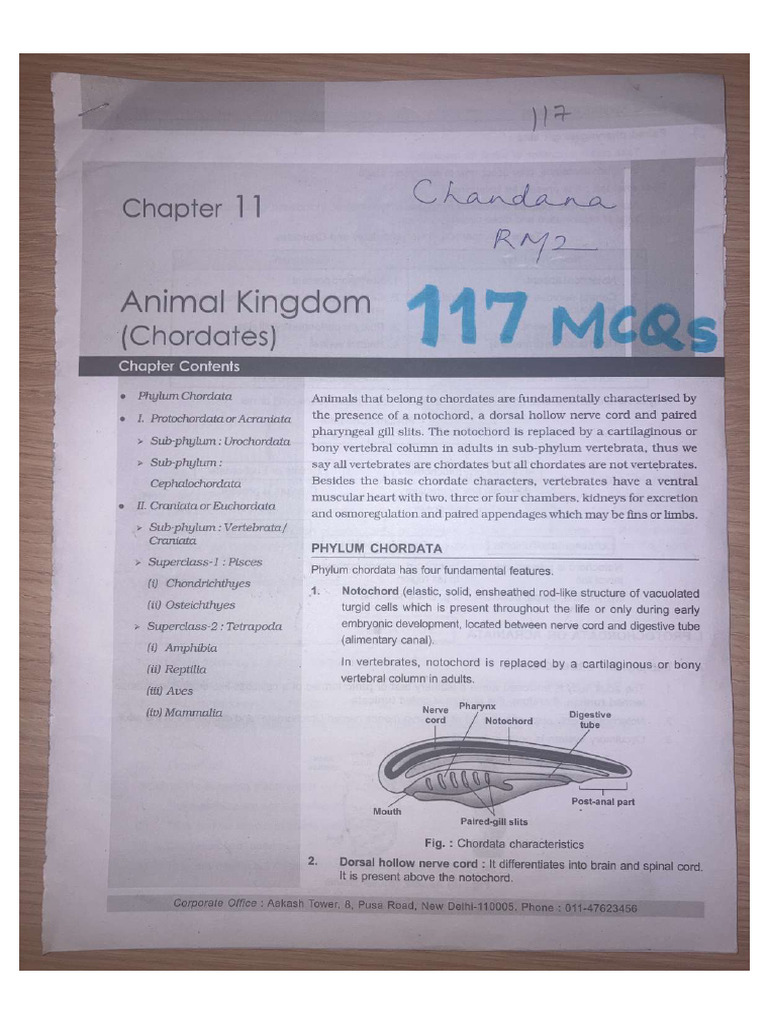 CHORDATA MCQs | PDF