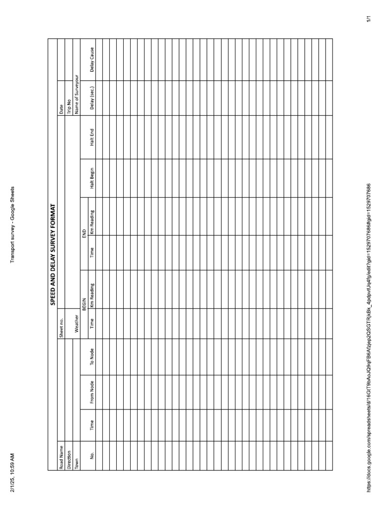 Speed Delay Survey | PDF