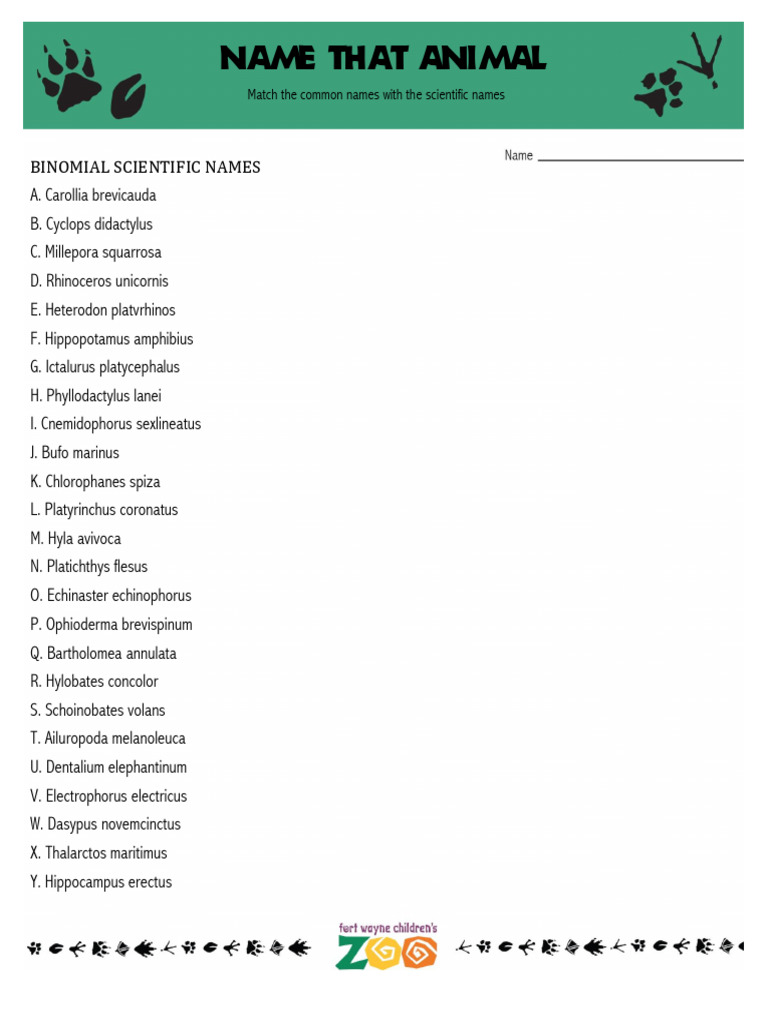 Animal Scientific Name Quiz | PDF | Zoology