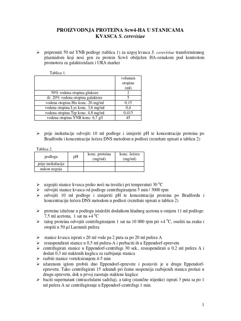 PROIZVODNJA PROTEINA Scw4 | PDF