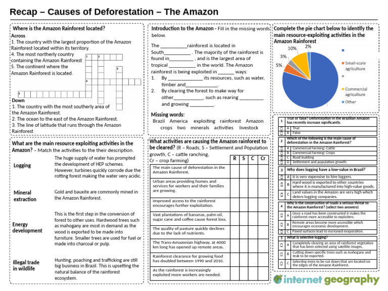 Causes of TRF Deforestation Amazon | PDF | Amazon Rainforest ...