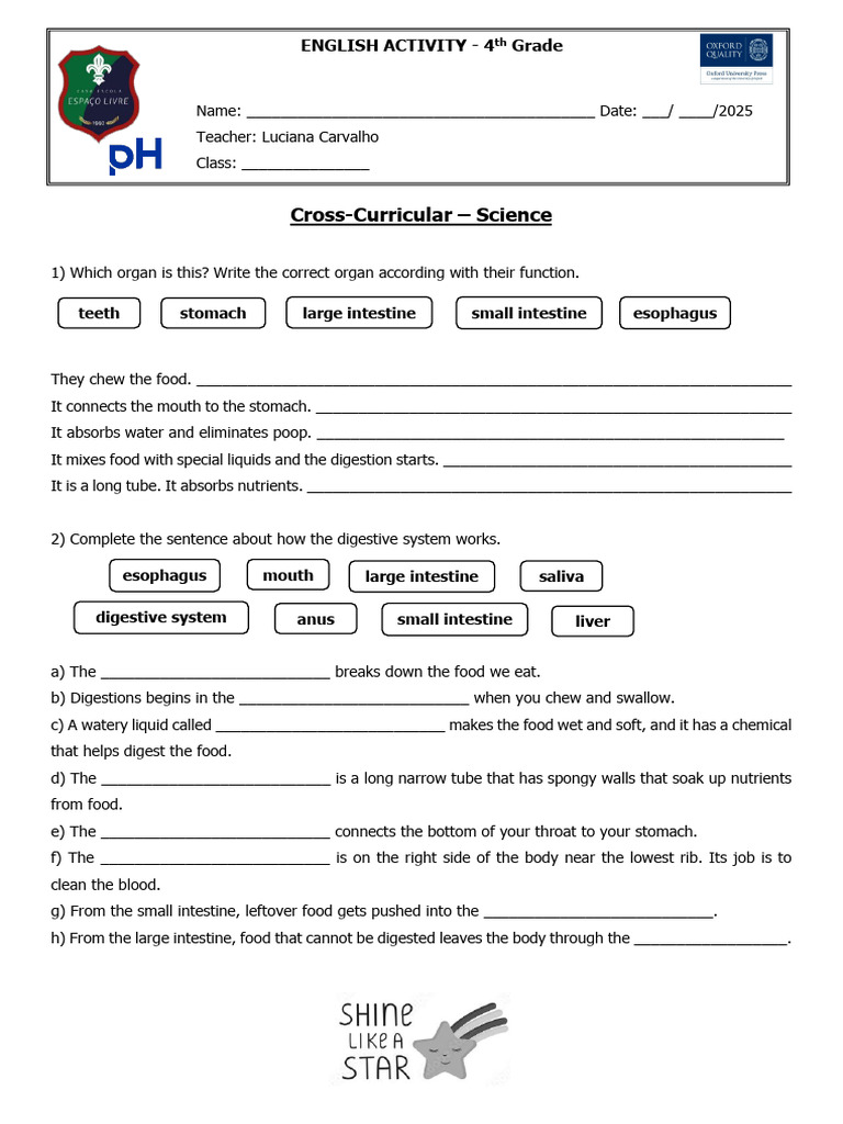 Atividade EL - Interdi - Science Disgestive System | PDF