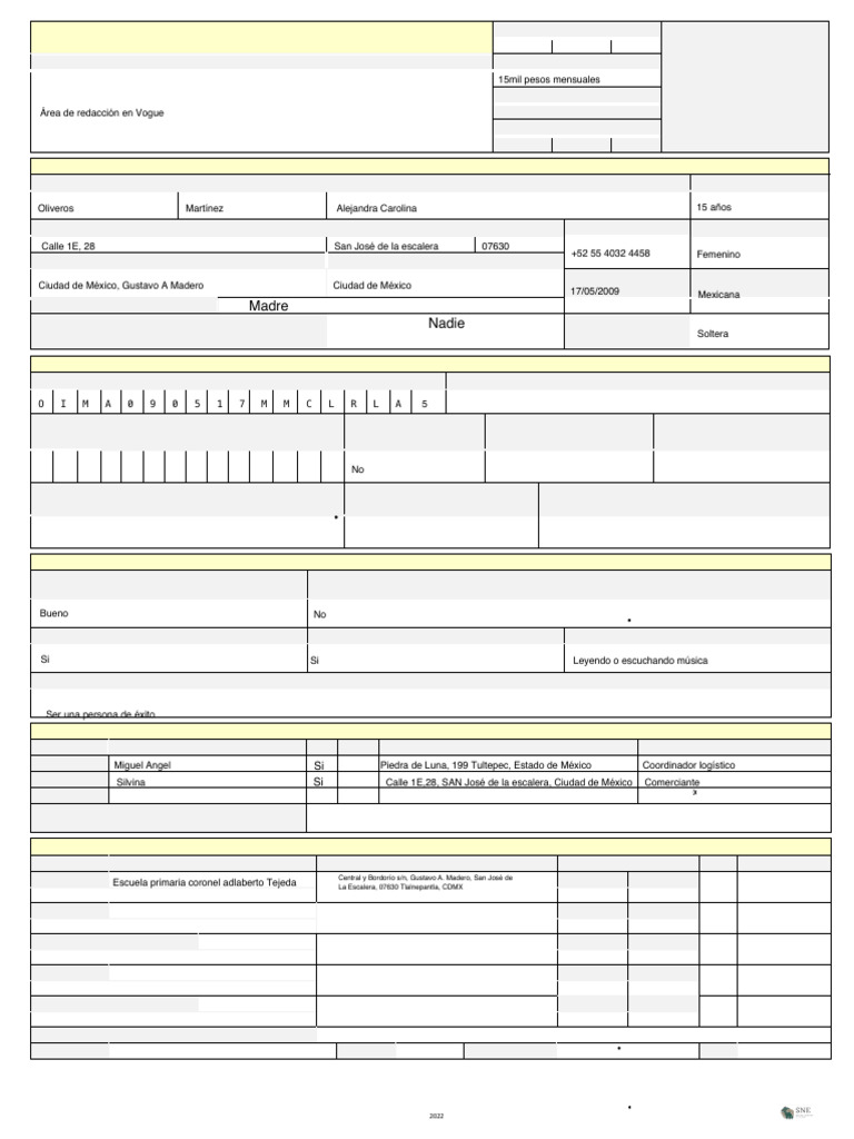 Sne Solicitud de Empleo Plantilla PDF | PDF