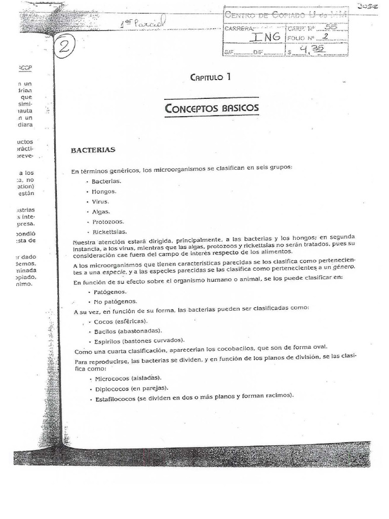 Conceptos Basicos | PDF