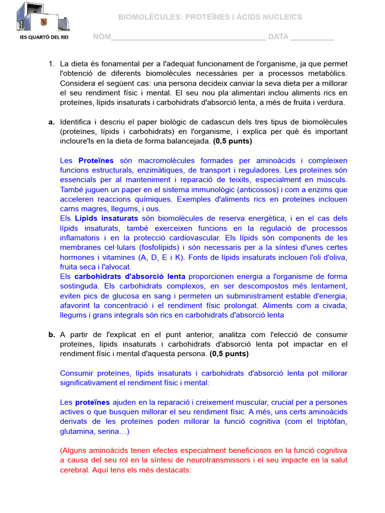 SOLUCIÓ EXAMEN PROTEÏNES I AANN 2n Batx | PDF