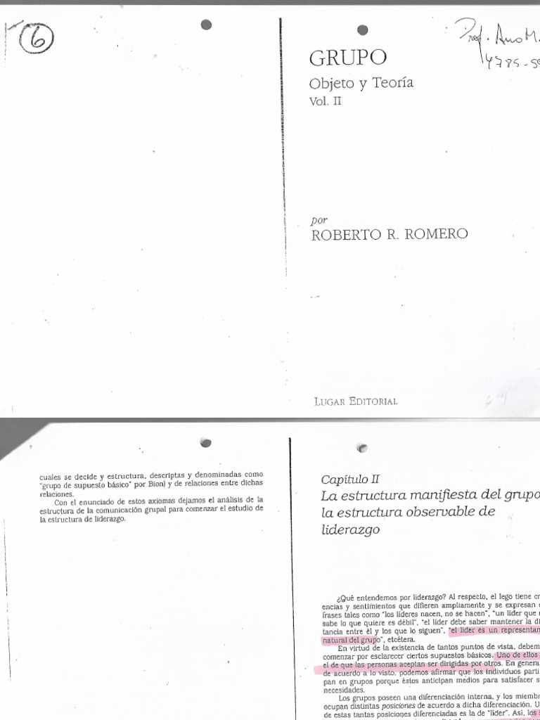 Grupo. Objeto y Teoría. Liderazgo. Roberto Romero. | PDF