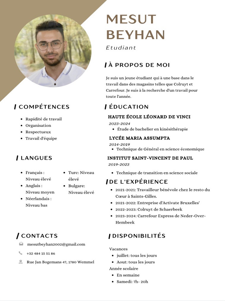 Cv Mesut | PDF