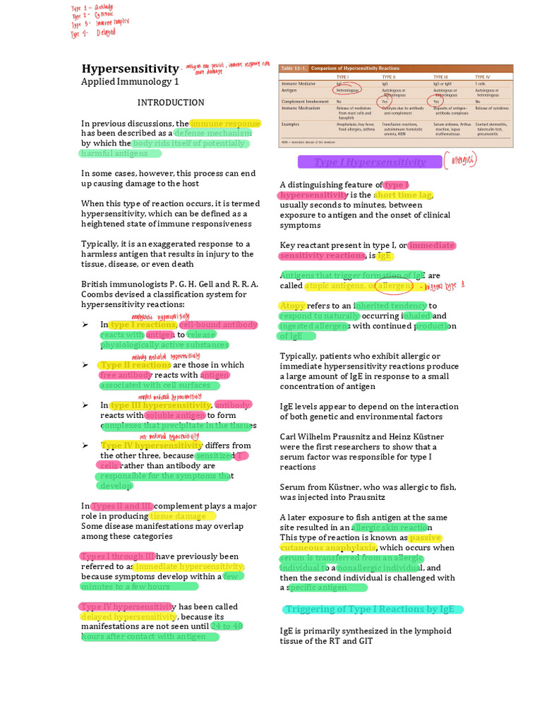Understanding Hypersensitivity Reactions | PDF | Allergy | Antibody