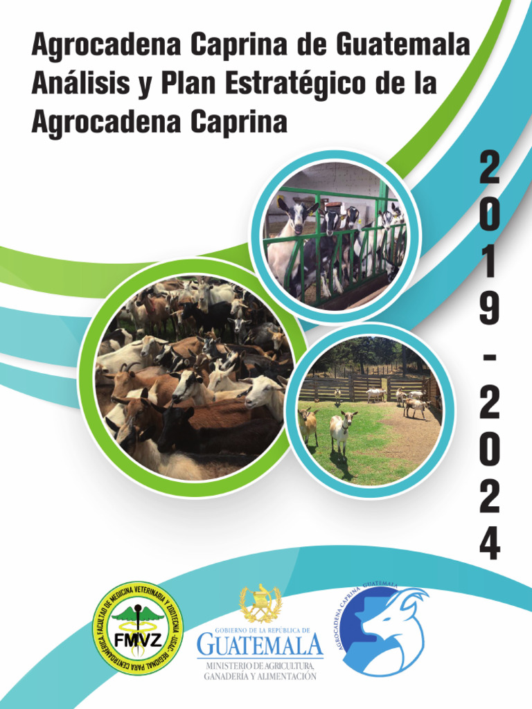 Plan Estratégico Agrocadena Caprina 2019-2024 | PDF | Queso | Leche