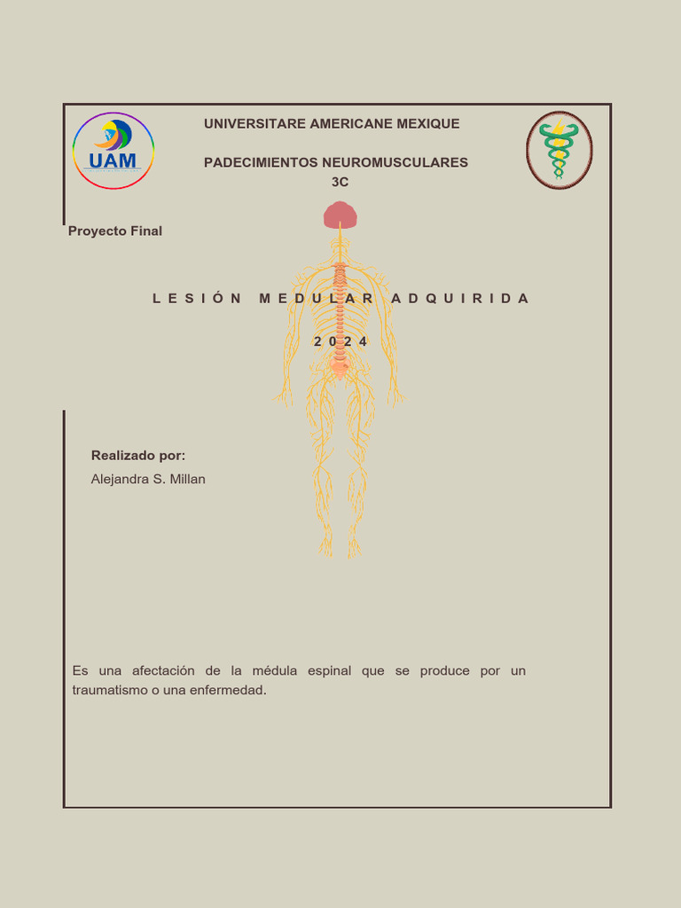 Lesión Medular Adquirida: Guía Completa | PDF | Lesión de la médula ...