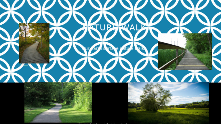 Nature Walk | PDF
