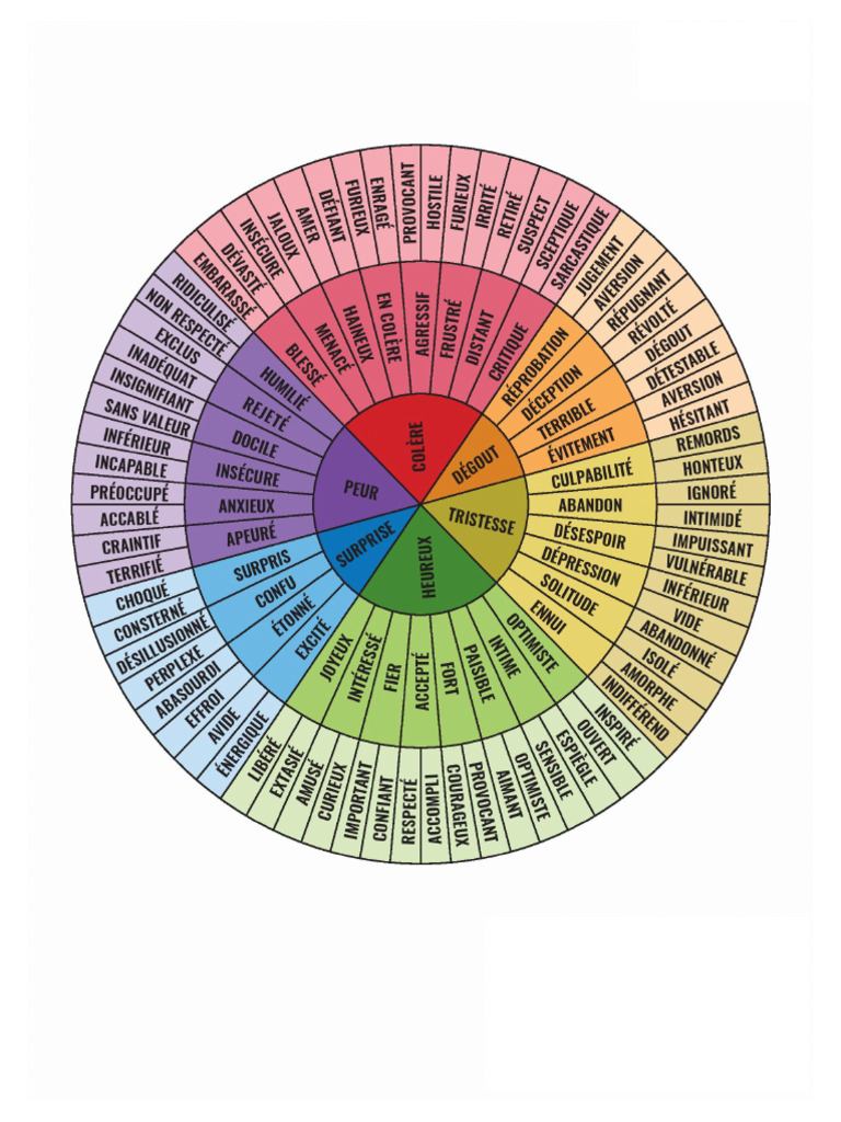 Roue Des Émotions | PDF