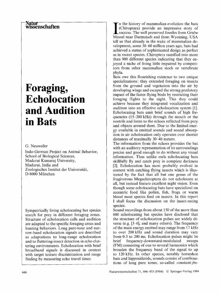 Echolocation and Foraging in Bats | PDF | Bat | Frequency Modulation