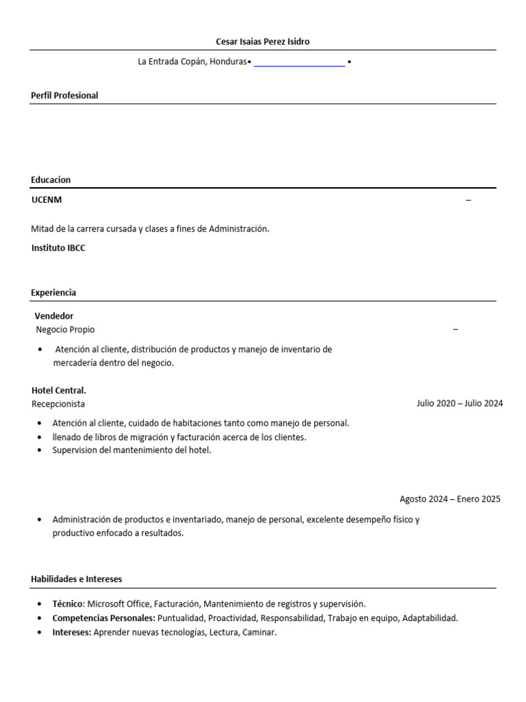 Cesar Perez Curriculum | PDF