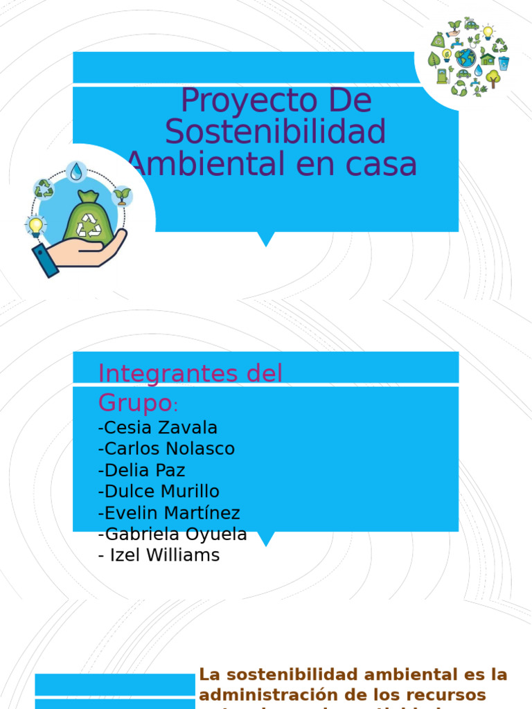 Proyecto de Sostenibilidad | PDF | Sustentabilidad | Entorno natural