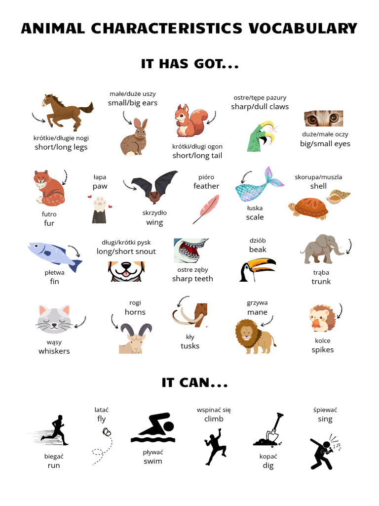 Animal Characteristics Vocabulary | PDF