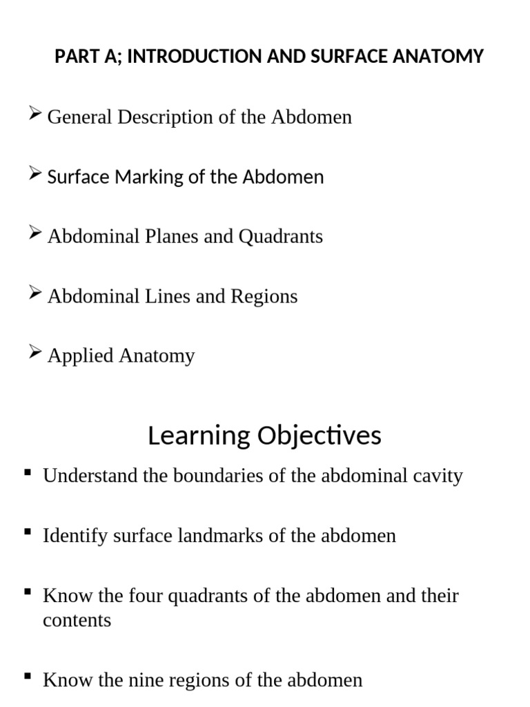 Abdominal Wall-Part A - Introduction To Surface Anatomy | PDF | Abdomen ...