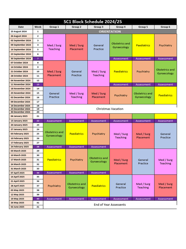 SC1 Block Schedule 2024/25 Overview | PDF | Medicine | Health Care