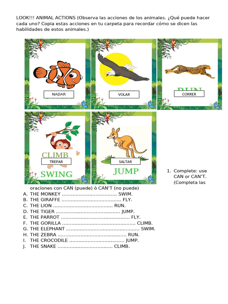 Animal Abilities 5th | PDF